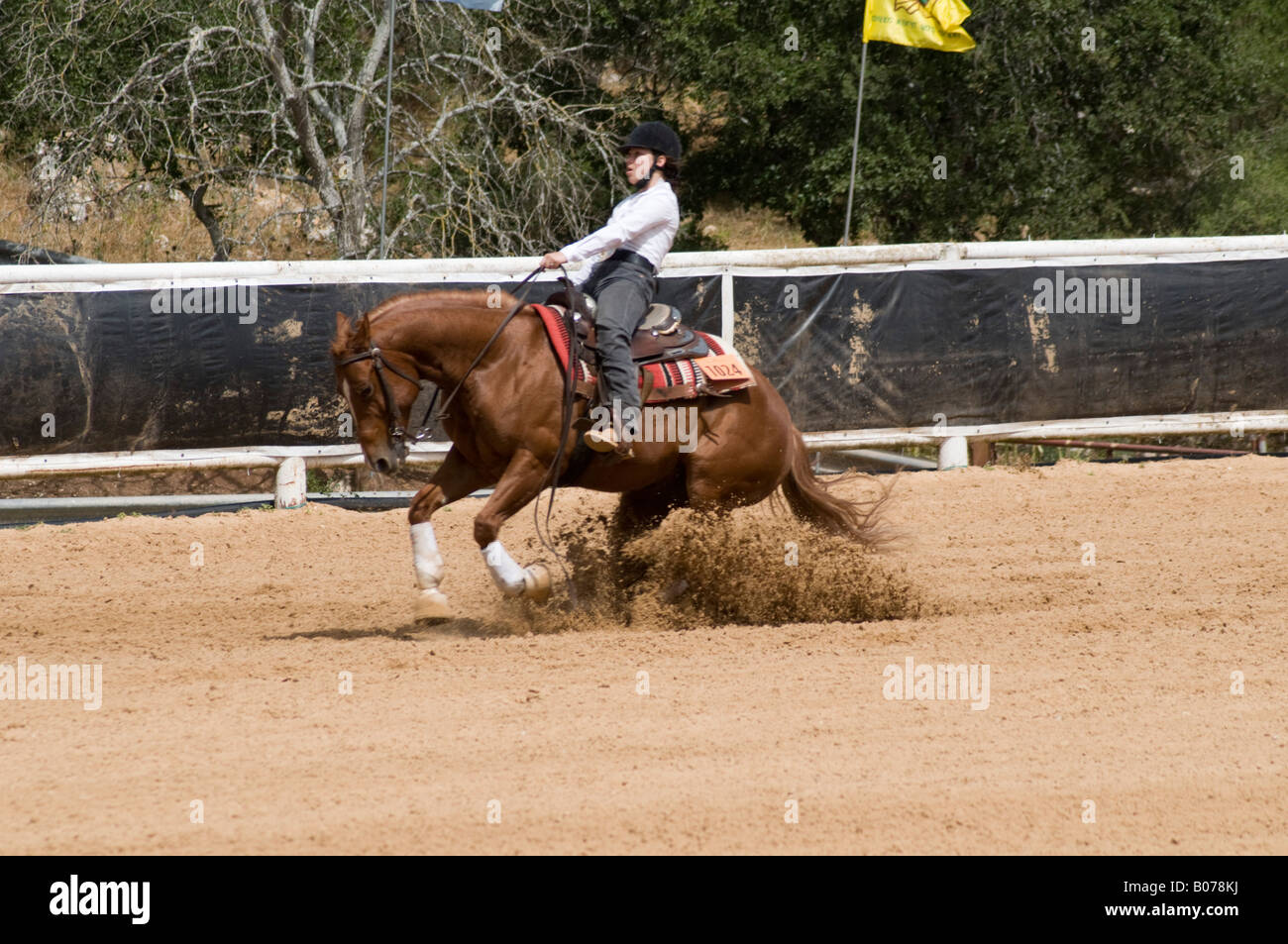 Israel Kibbutz Alonim Israeli Equestrian Organization western style ...