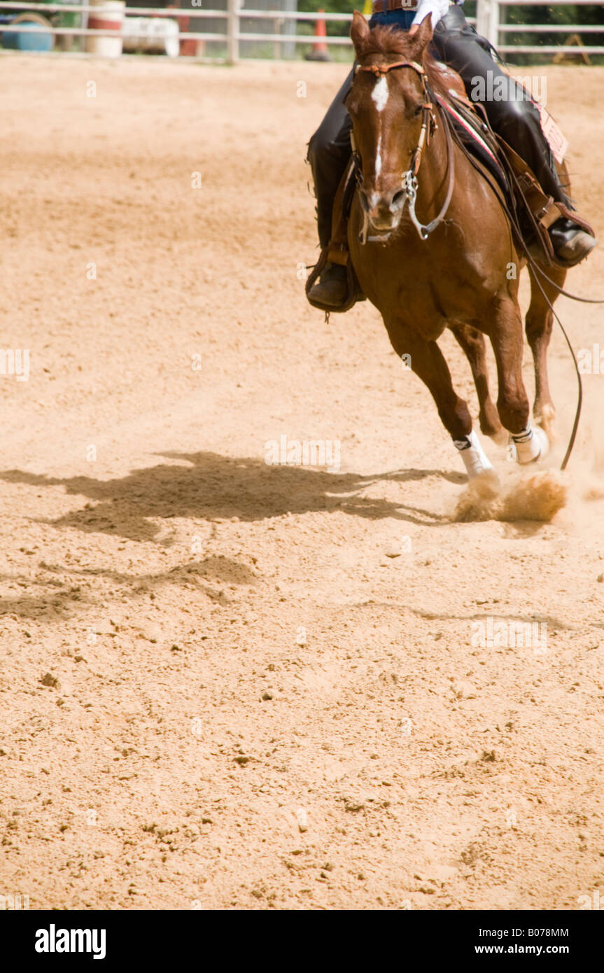 Israel Kibbutz Alonim Israeli Equestrian Organization western style ...