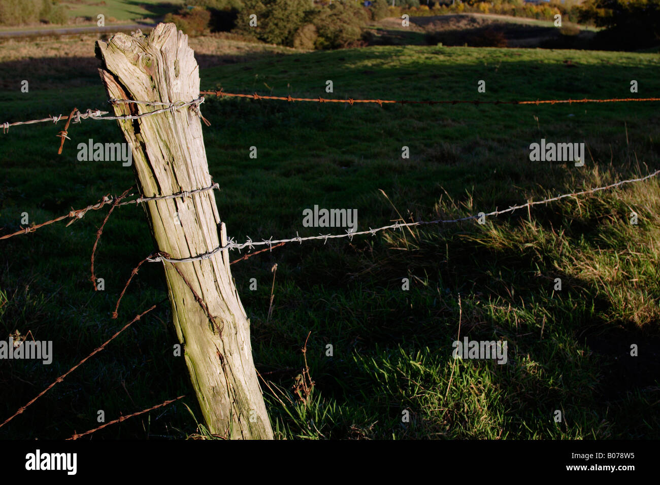 Old fence post and barbed wire in evening sunlight Shropshire England ...
