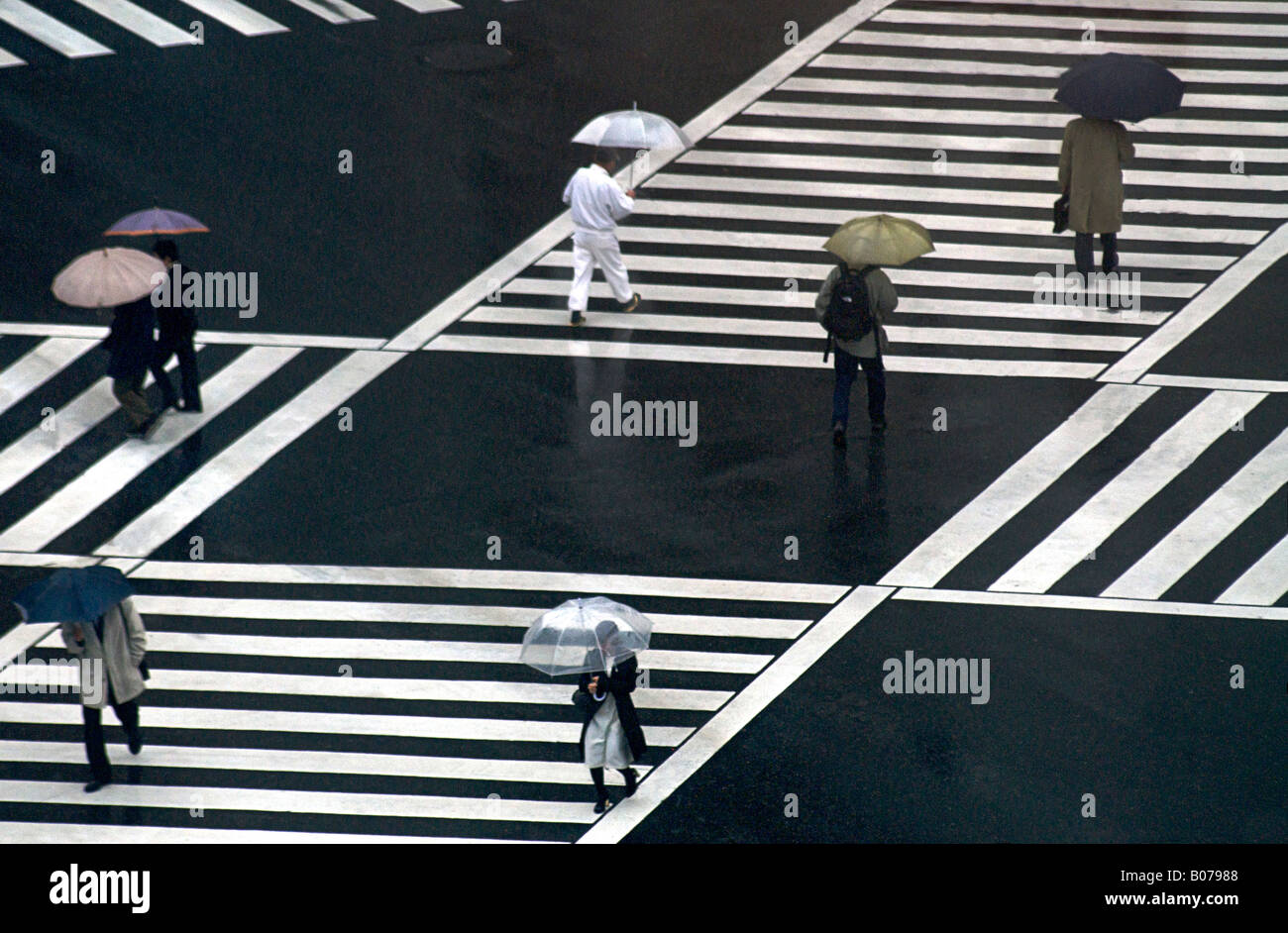 Crossing at a pedestrian crossing in the rain. Umbrellas. A wet day in ...