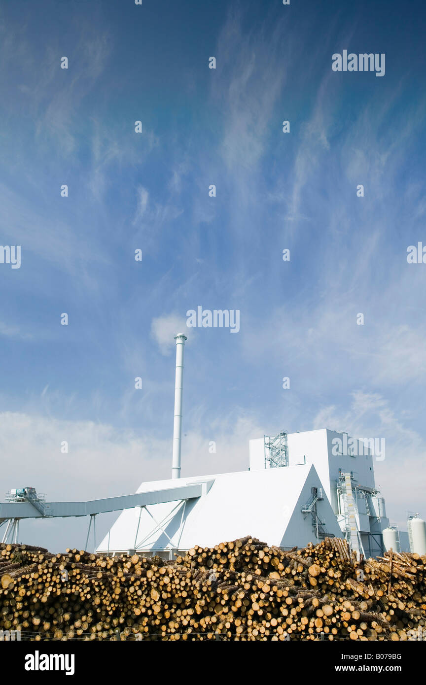 E ON s biofuel power station in Lockerbie Scotland with timber supplies ...