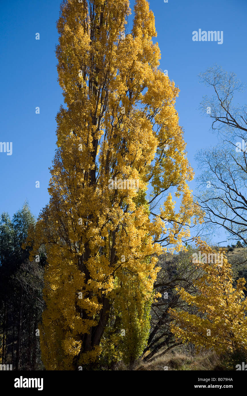 Seasons of new zealand hi-res stock photography and images - Alamy