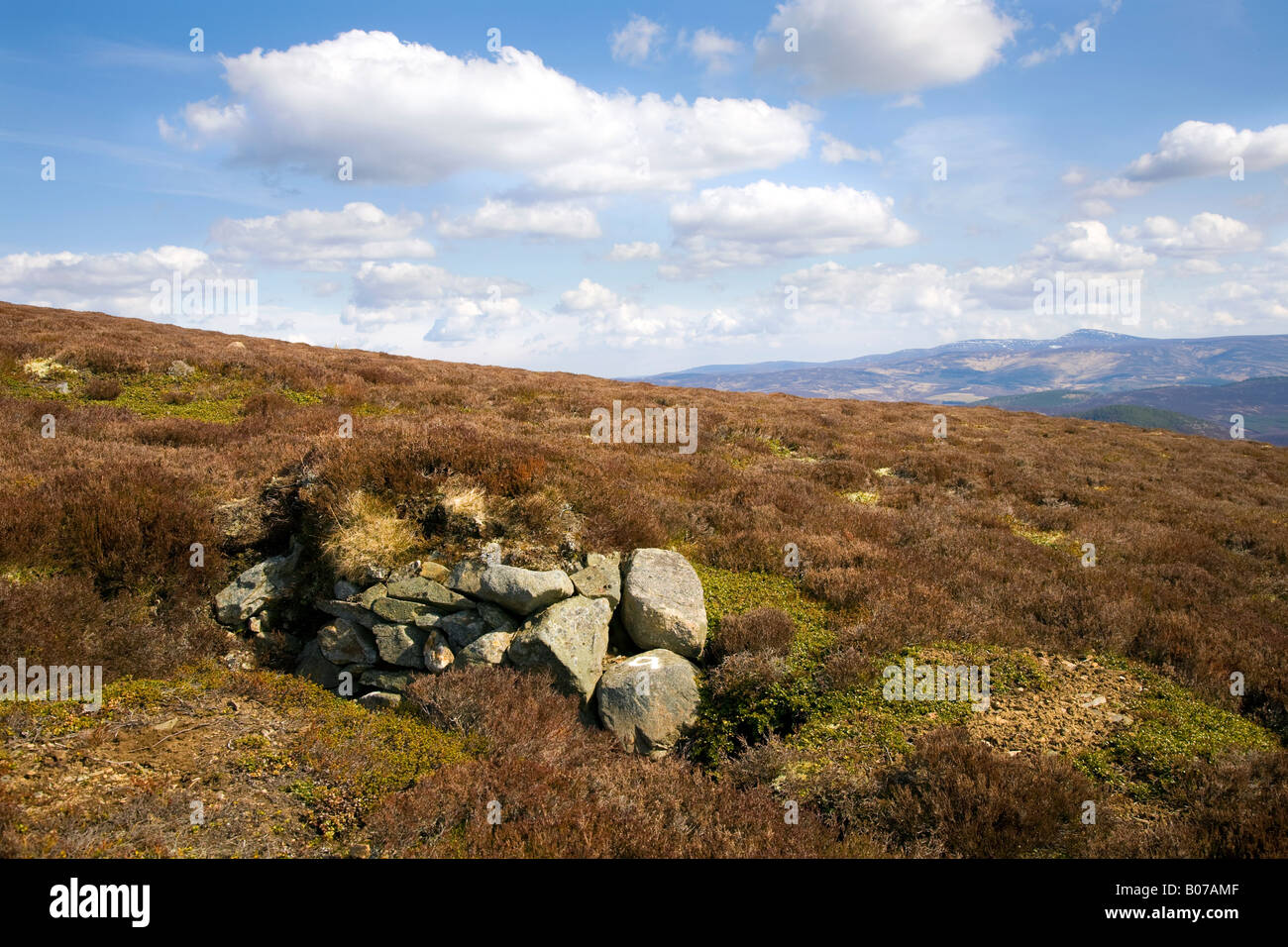 Stone Grouse shooting butt; Landscape on Invercauld Estate High Gealaig ...