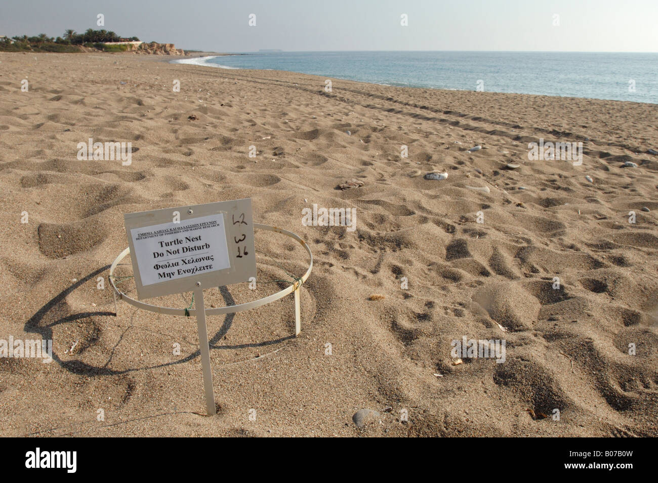 Protected sea turtle's nest, Lara Beach, Akamas Nature Reserve, Paphos ...