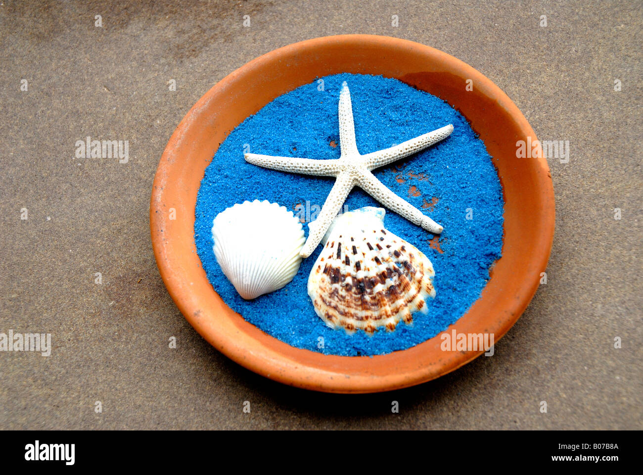 Garden pottery shells hi-res stock photography and images - Alamy