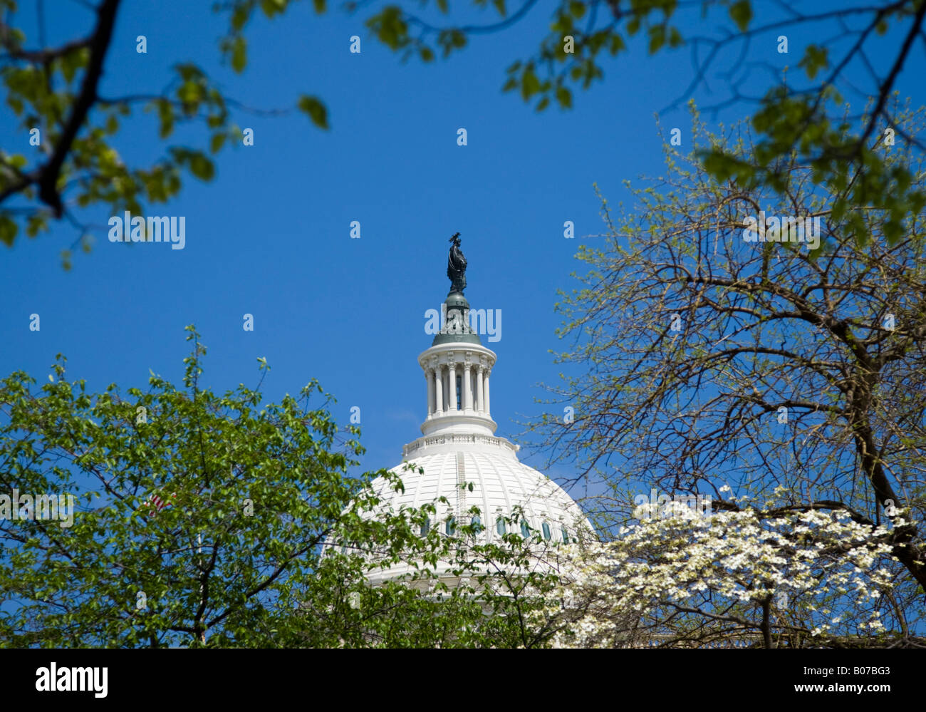 Capital building in Washington, DC Stock Photo - Alamy
