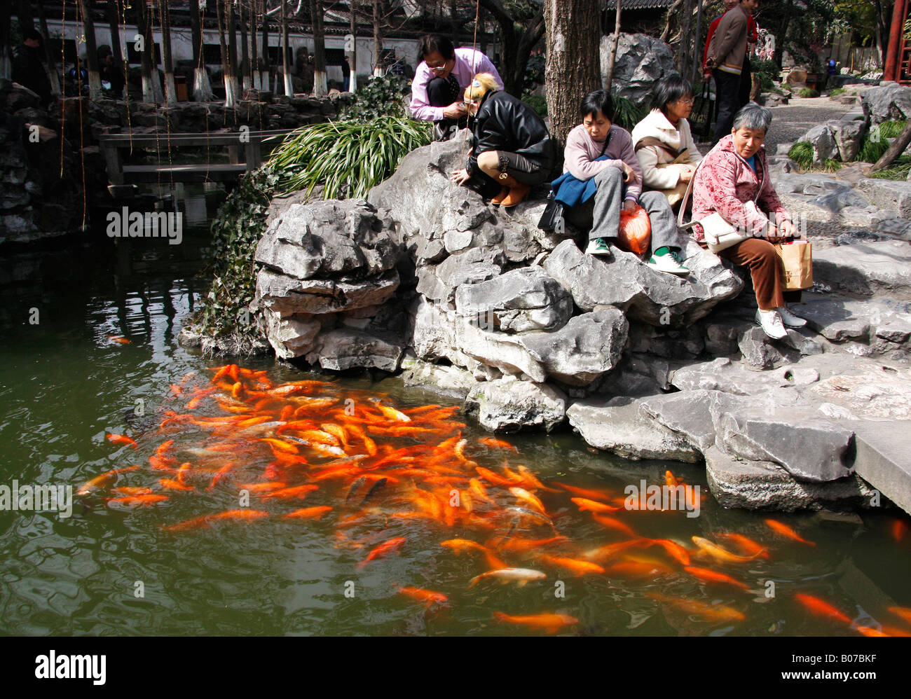 Historic chinese fish hi-res stock photography and images - Alamy