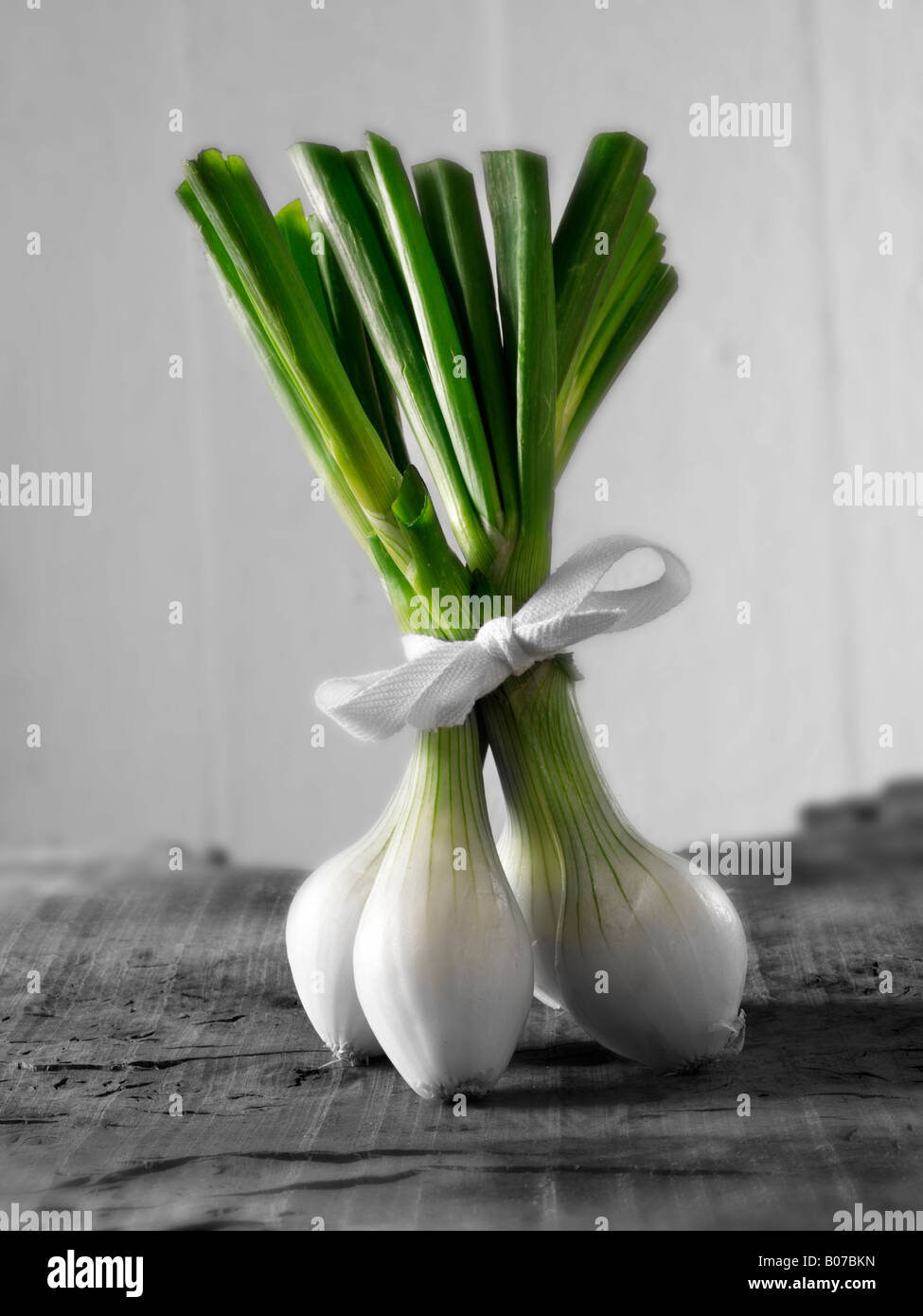 Organic spring Onion Bunch Stock Photo - Alamy