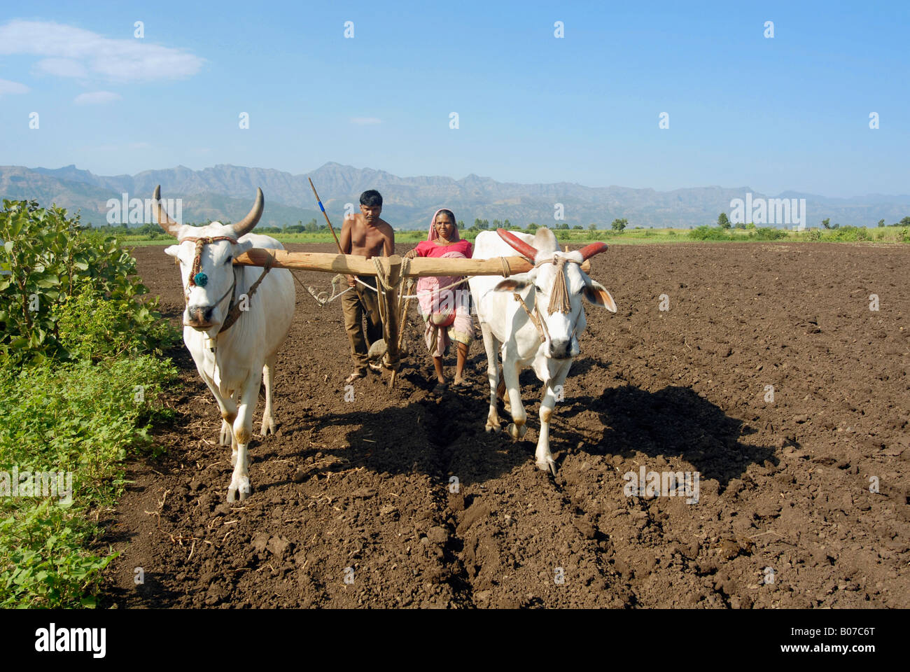 Implement subsistence farming hi-res stock photography and images - Alamy