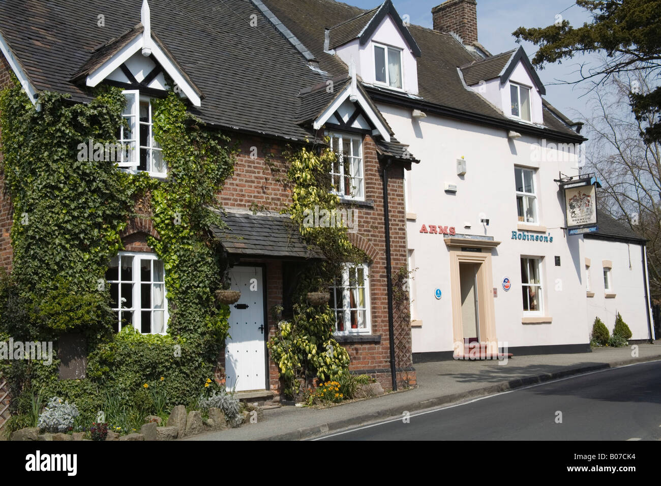 Astbury Cheshire England UK April An ivy covered cottage and the ...