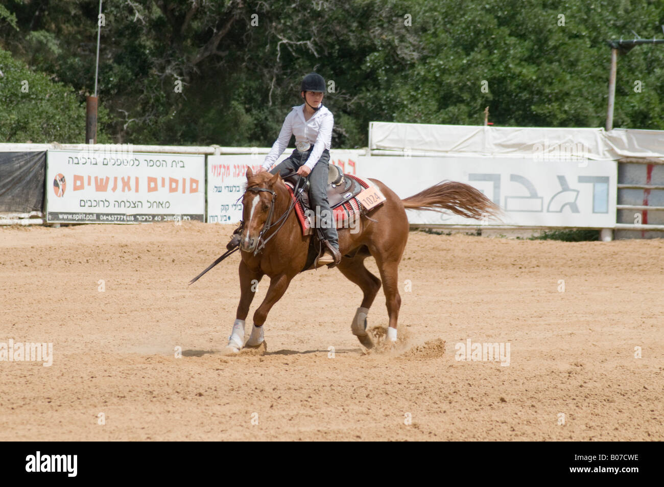Israel Kibbutz Alonim Israeli Equestrian Organization western style ...