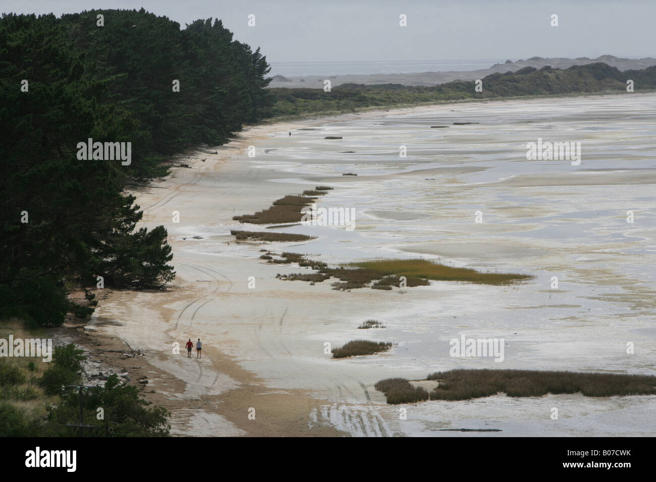 Overlooking the bay next to Farewell Spit or sandbar Stock Photo - Alamy