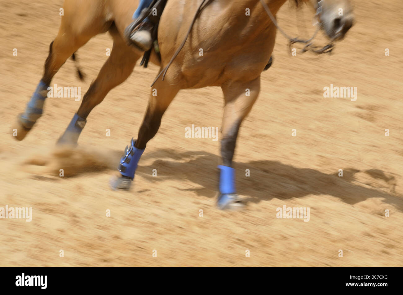 Close up side view of the feet of a running horse Stock Photo - Alamy