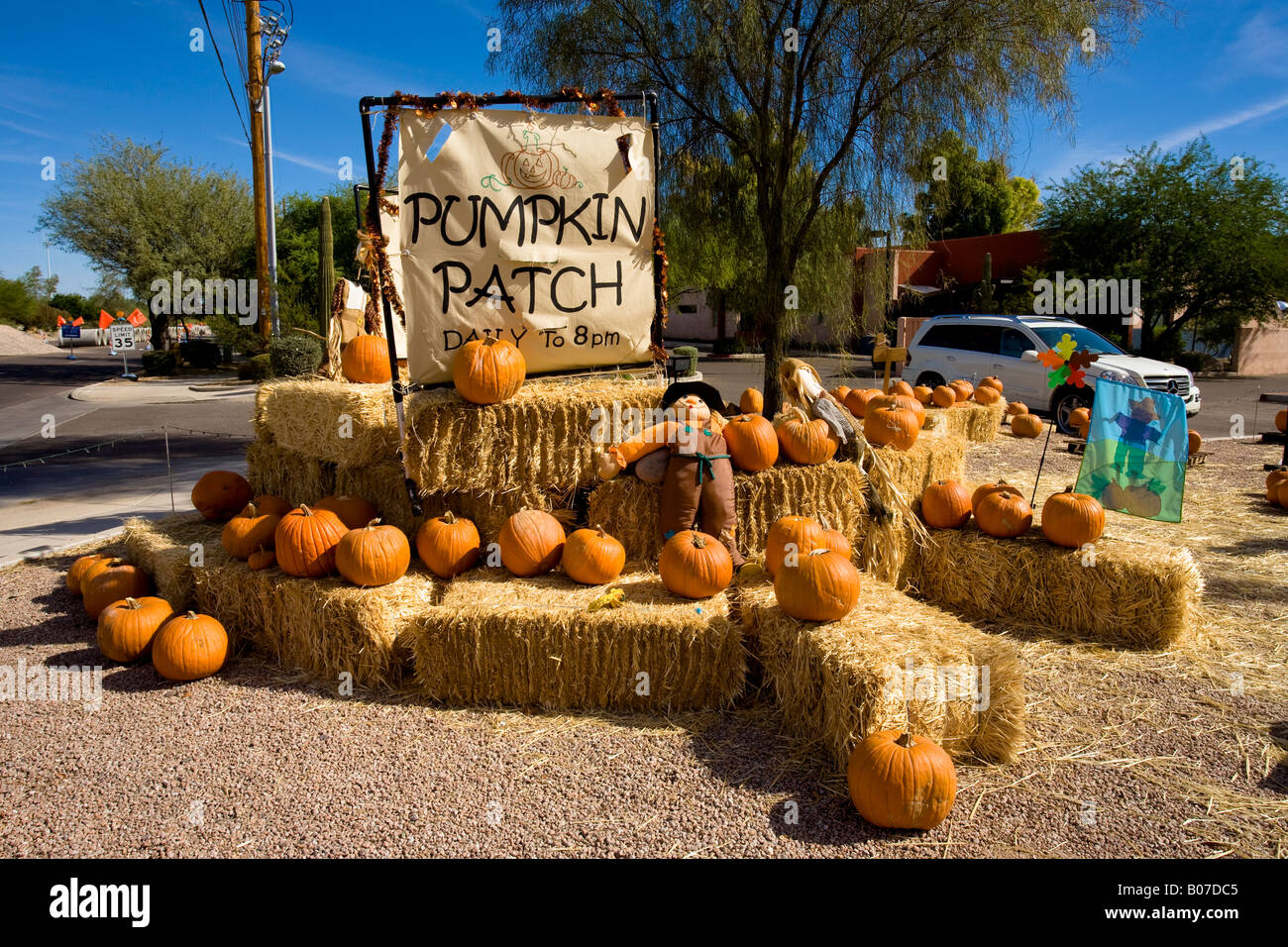 Arizona pumpkins hi-res stock photography and images - Alamy