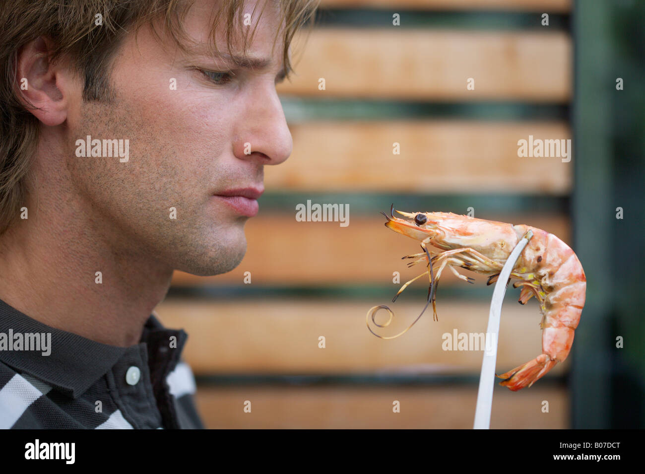 Person holding shrimp hi-res stock photography and images - Alamy