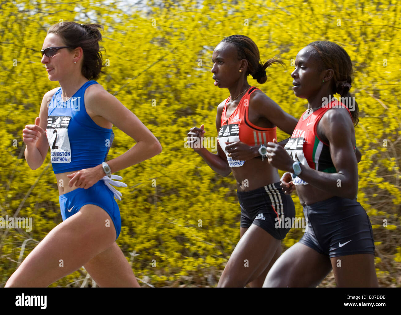 Female Sprinters Vs Marathoners