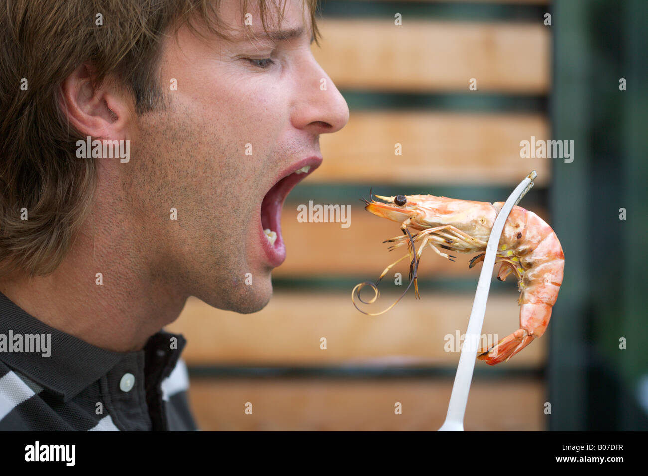 Man holding a shrimp with gripper near his open mouth Stock Photo - Alamy