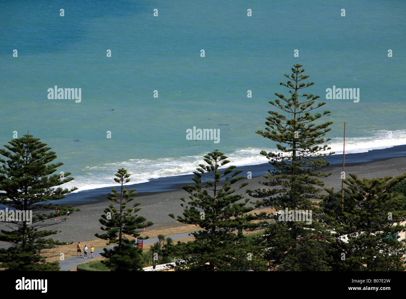 View of Napier beach from Bluff lookout North Island New Zealand Stock ...