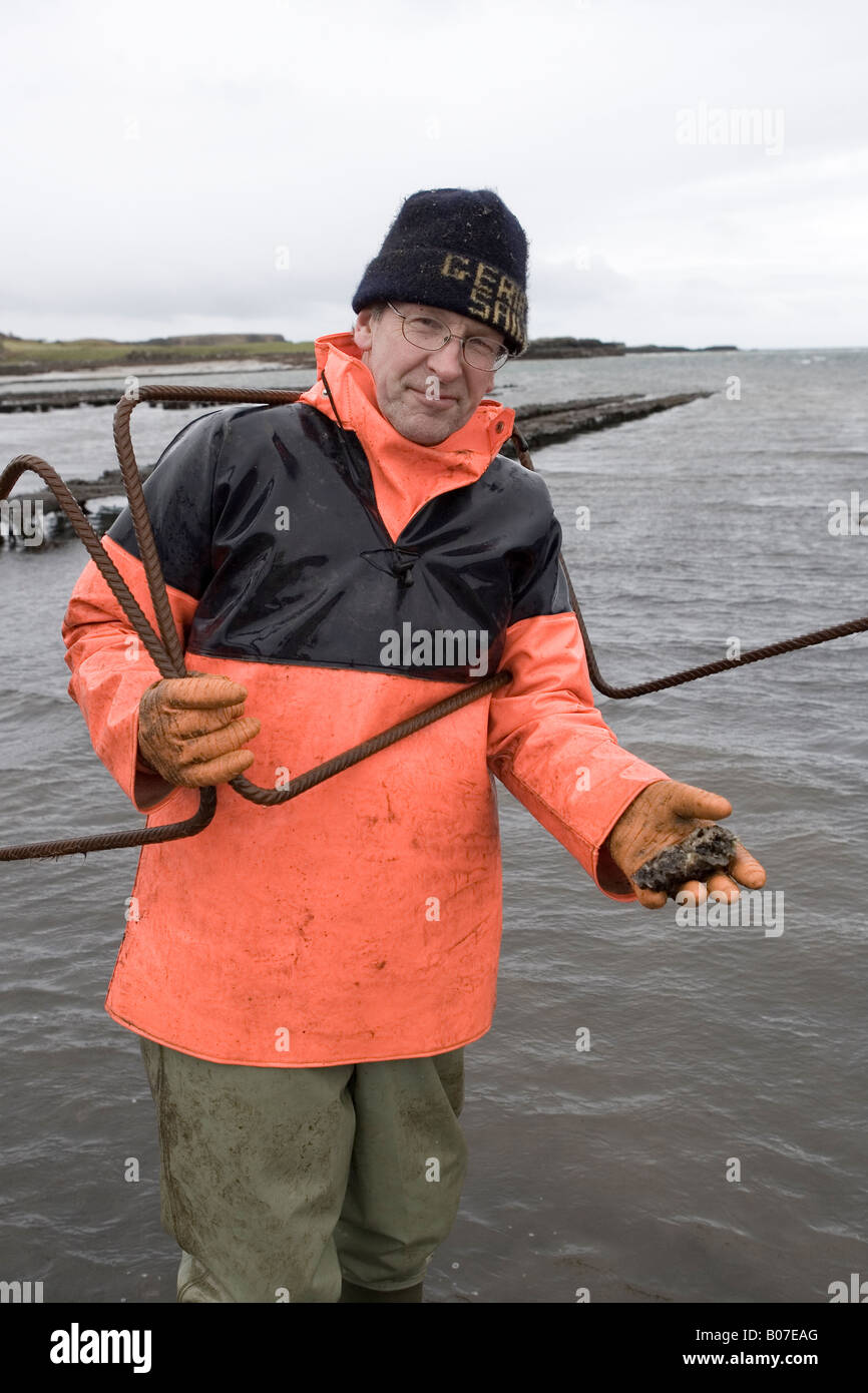Nick Turnbull oyster farmer holding an oyster, Croig, Mull, Scotland ...