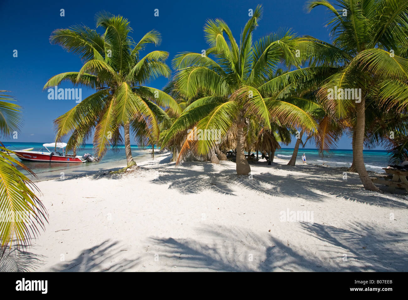 Belize, Beach at Laughing Bird Caye Stock Photo - Alamy