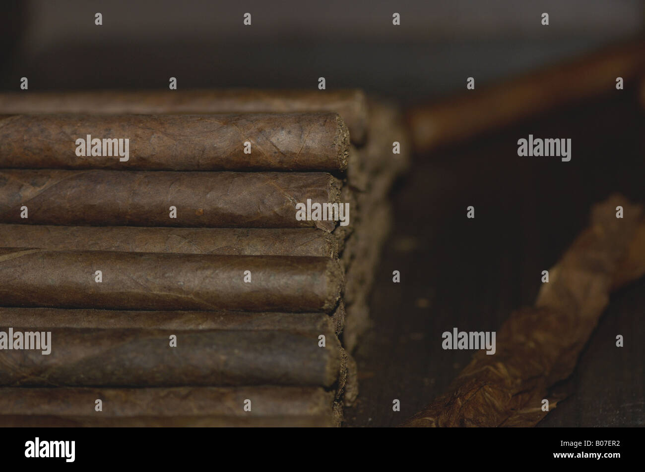fresh hand-made cigars Stock Photo - Alamy