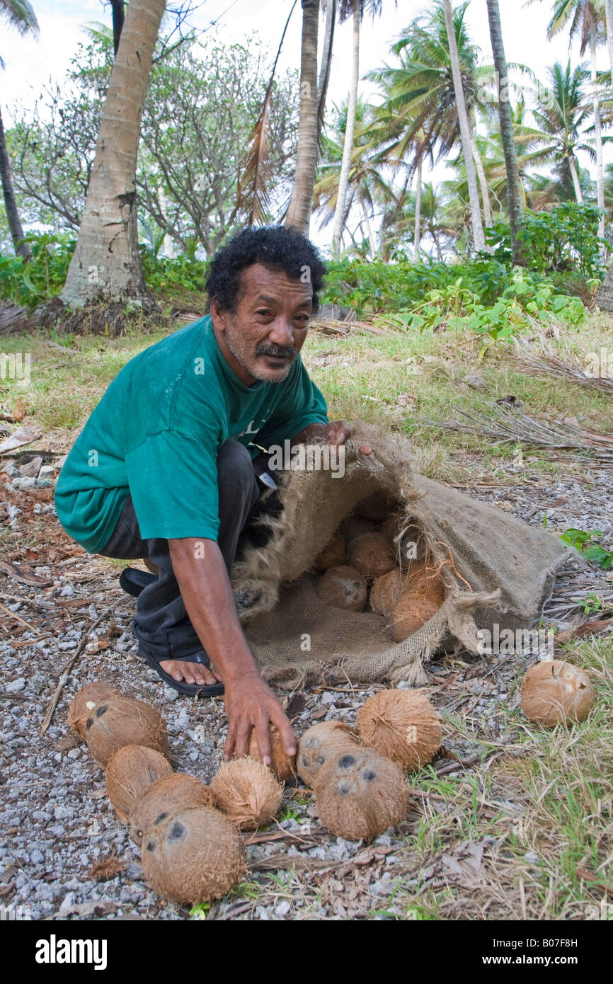 Collecting coconuts, Jaluit Atoll, Marshall Islands Stock Photo - Alamy