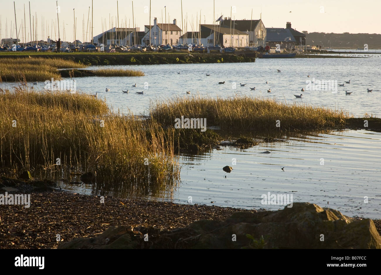 Mudeford Quay Dorset UK at dusk Stock Photo - Alamy