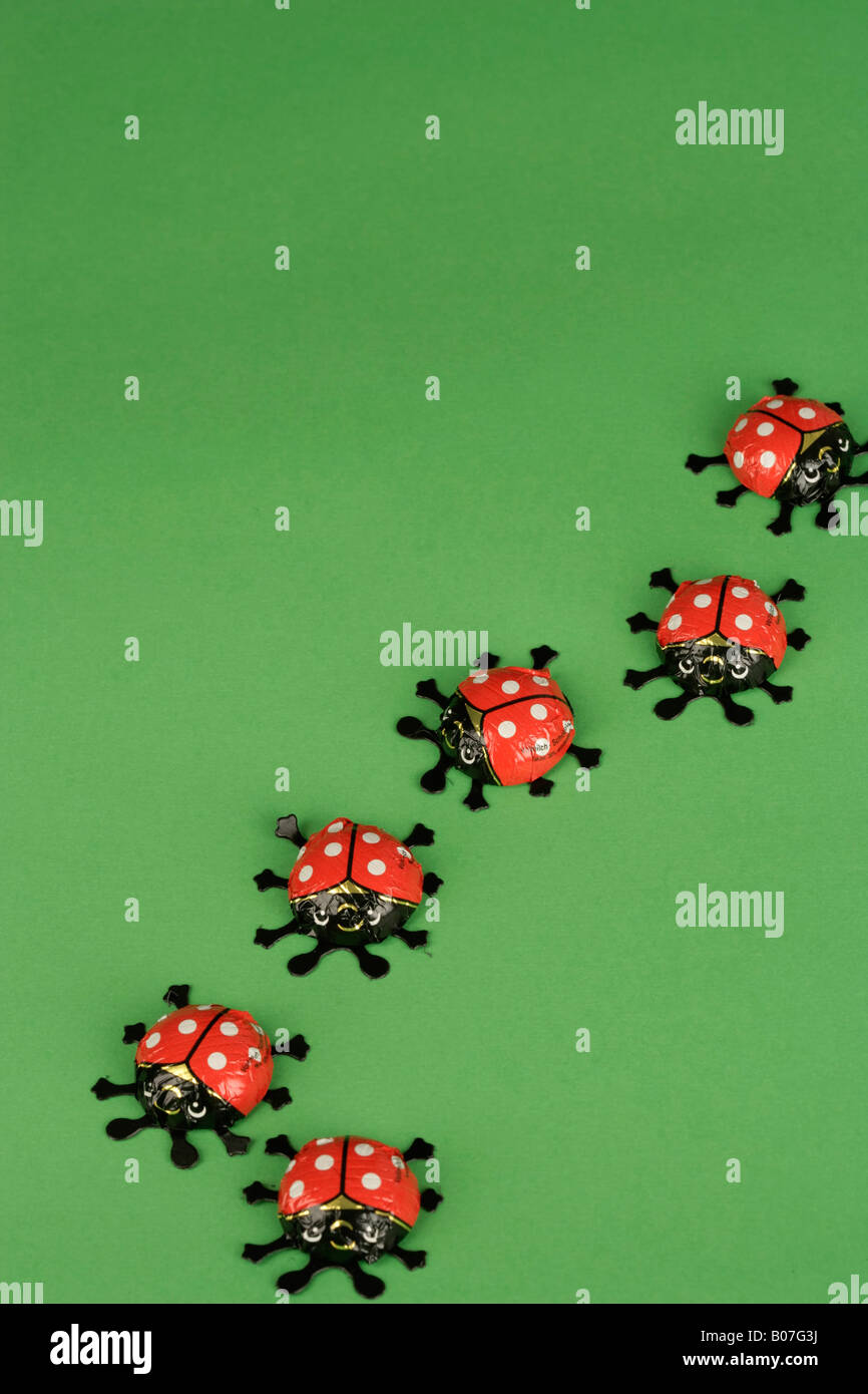 Chocolate ladybirds in a row Stock Photo - Alamy