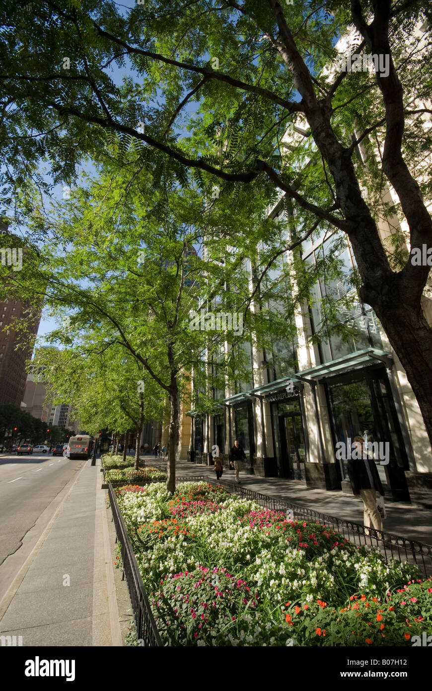 Illinois, Chicago, North Michigan Avenue (The Magnificent Mile shopping ...