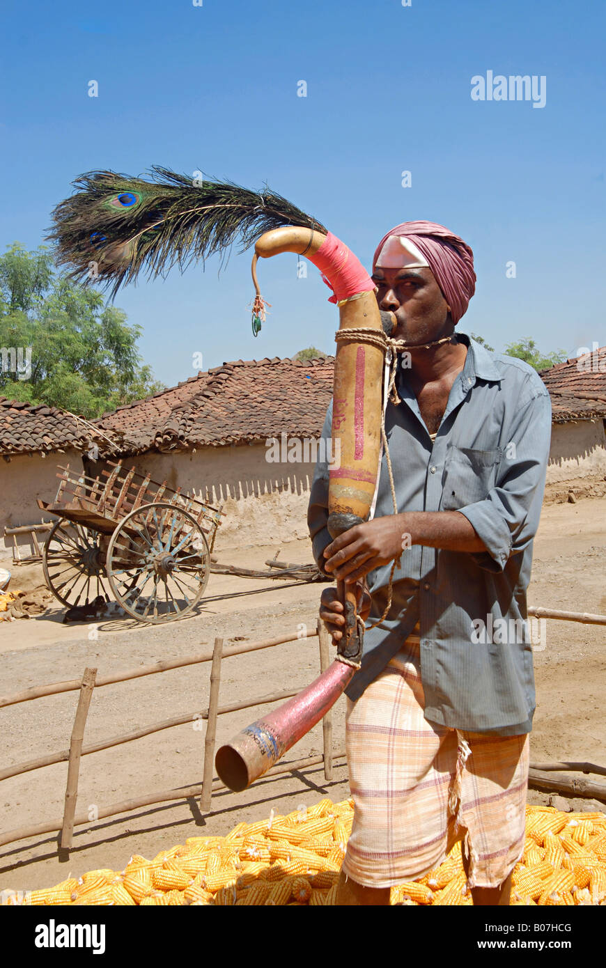 Tarpa hi-res stock photography and images - Alamy