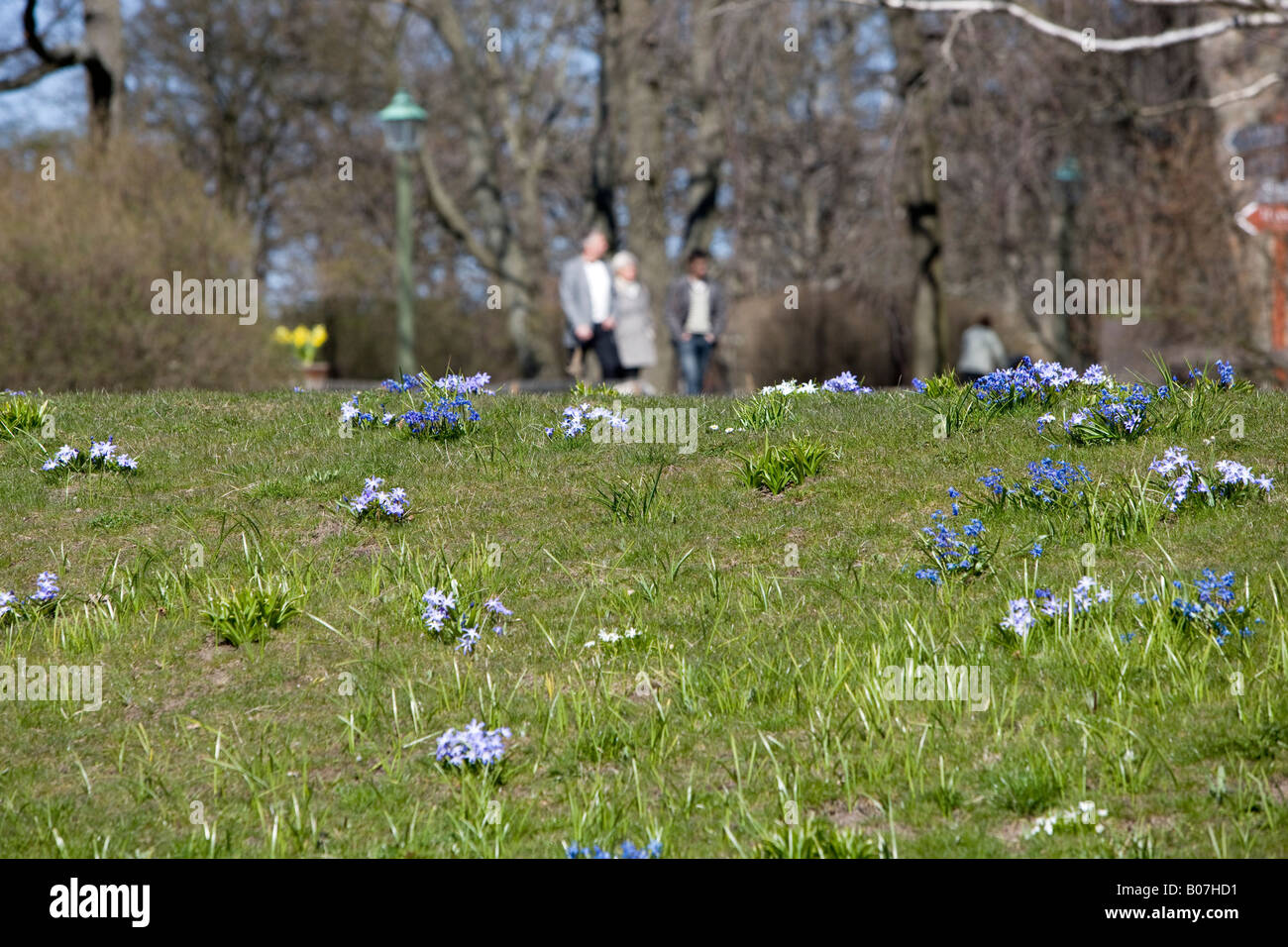 Spring sweden hi-res stock photography and images - Alamy