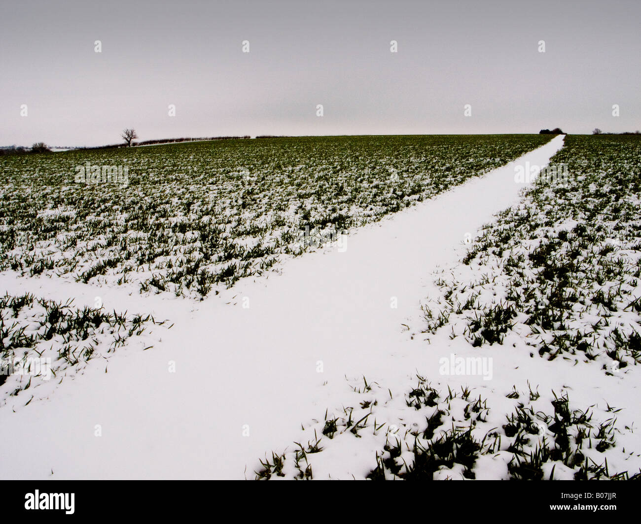 Cold farmland hi-res stock photography and images - Alamy