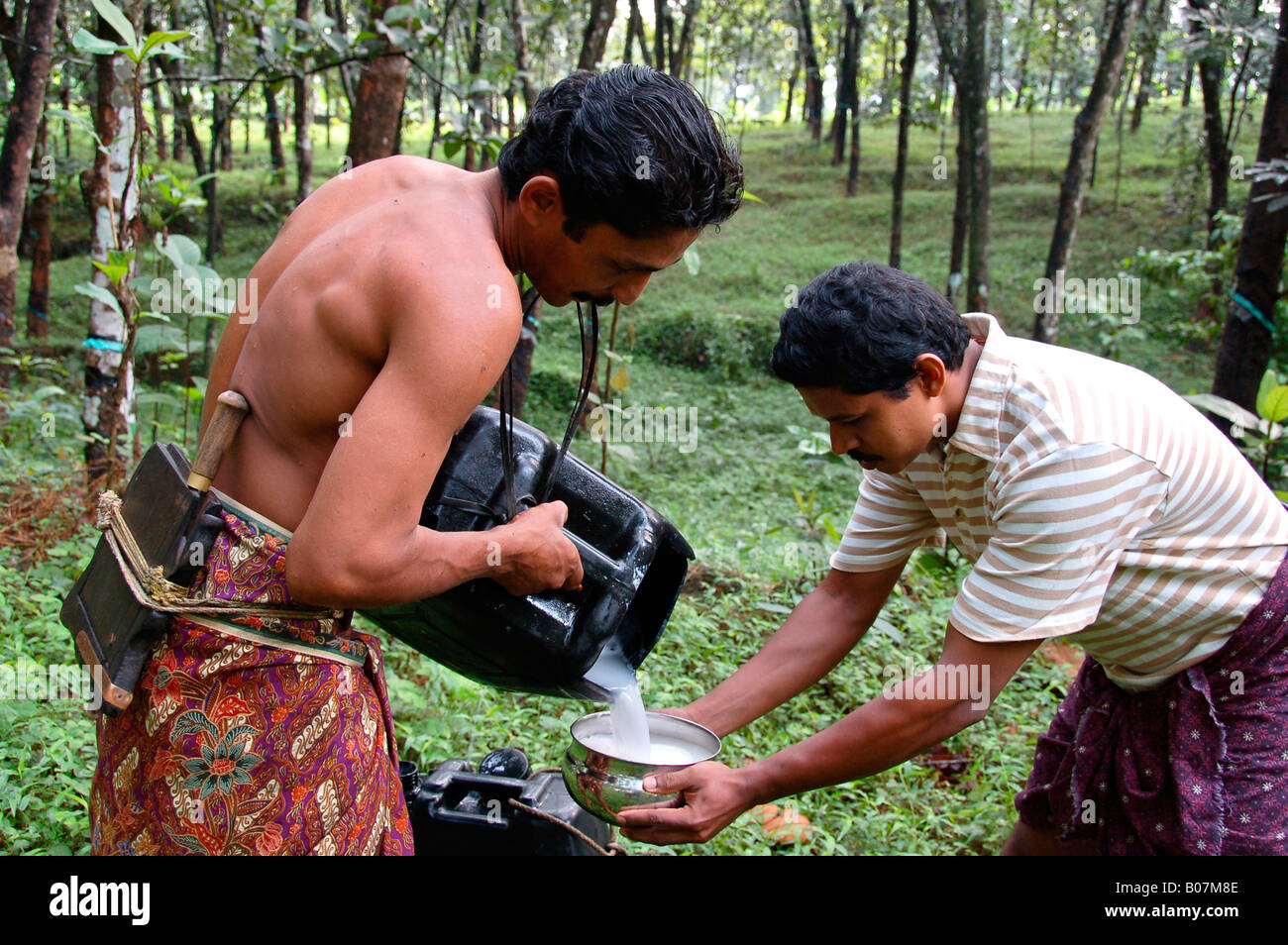 Kallu hi-res stock photography and images - Alamy