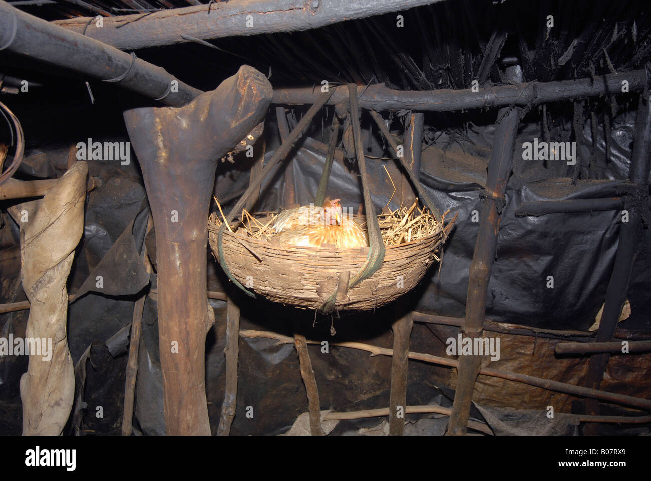 Hen hanging basket. Katkari tribe Stock Photo - Alamy