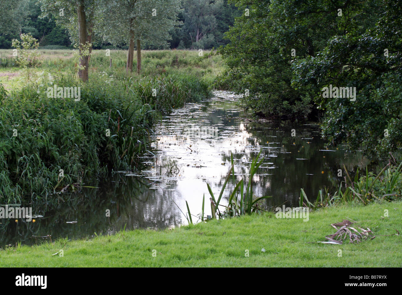 The river Deben in Kettleburgh, Suffolk flowing through a pub garden ...