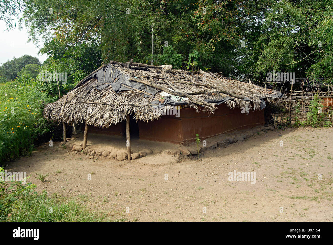 Tribal house - roofs thatched with grass. Katkari tribe Stock Photo - Alamy
