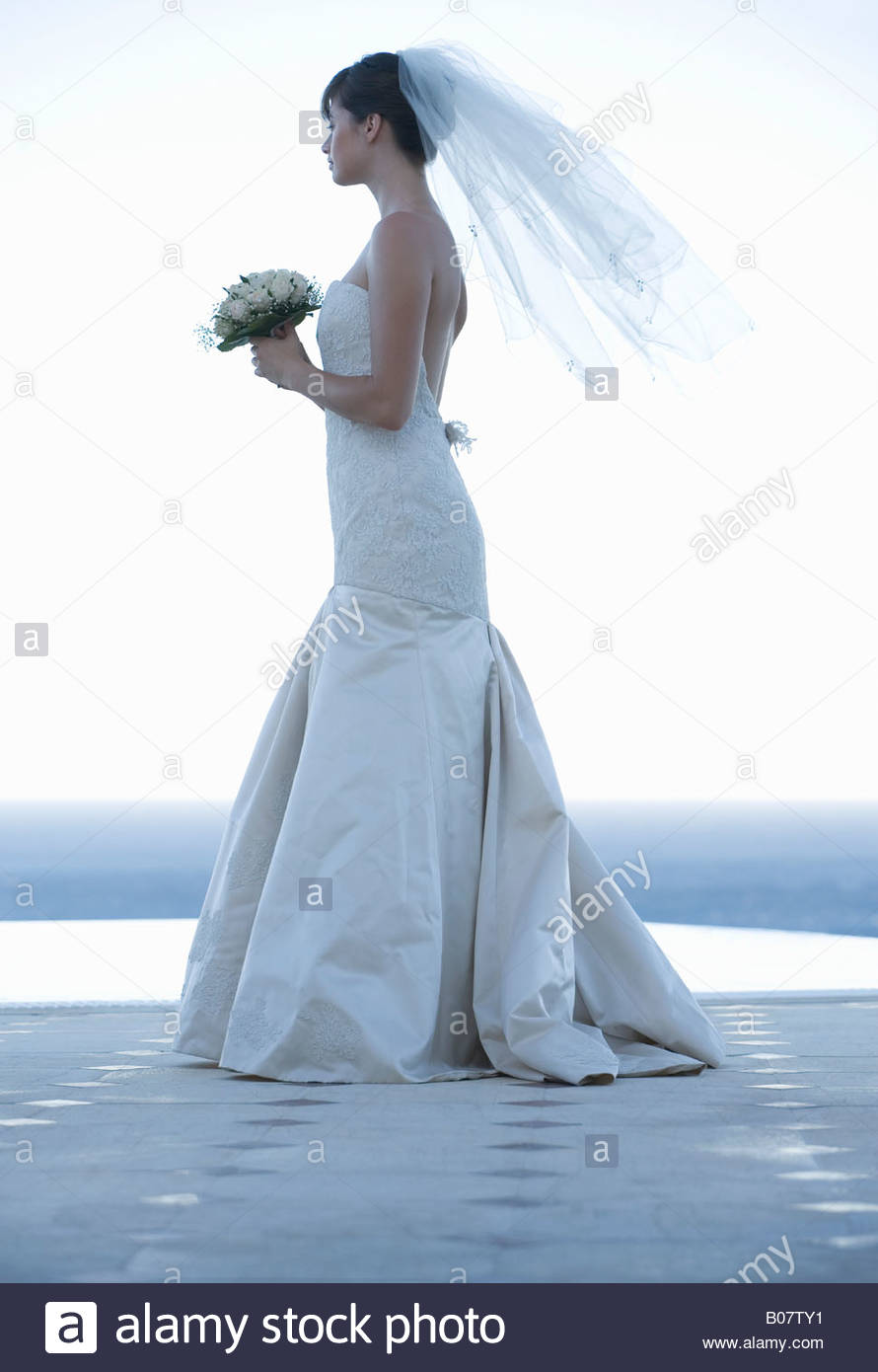 The Veiled Bride Stock Photos & The Veiled Bride Stock Images - Alamy