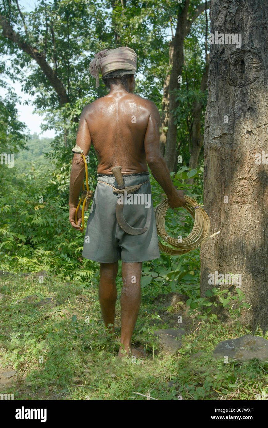 Kokna tribal Man with hand scythe a harvesting tool tied around his ...