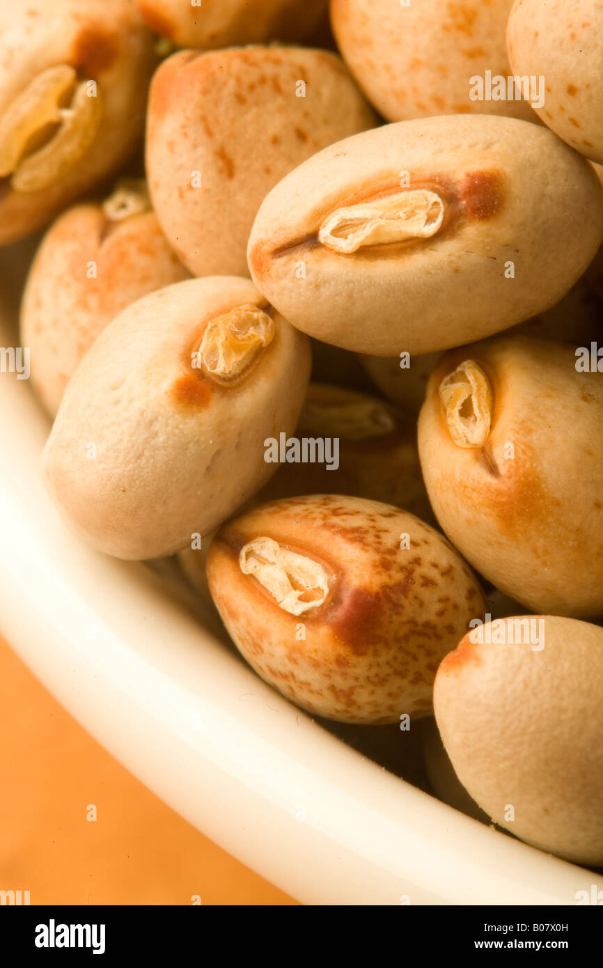 close up of gungo beans peas Stock Photo - Alamy