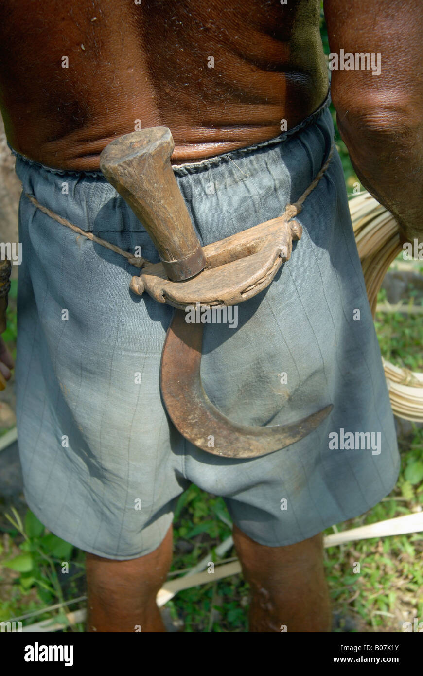 Man with hand scythe a harvesting tool tied around his back waist ...