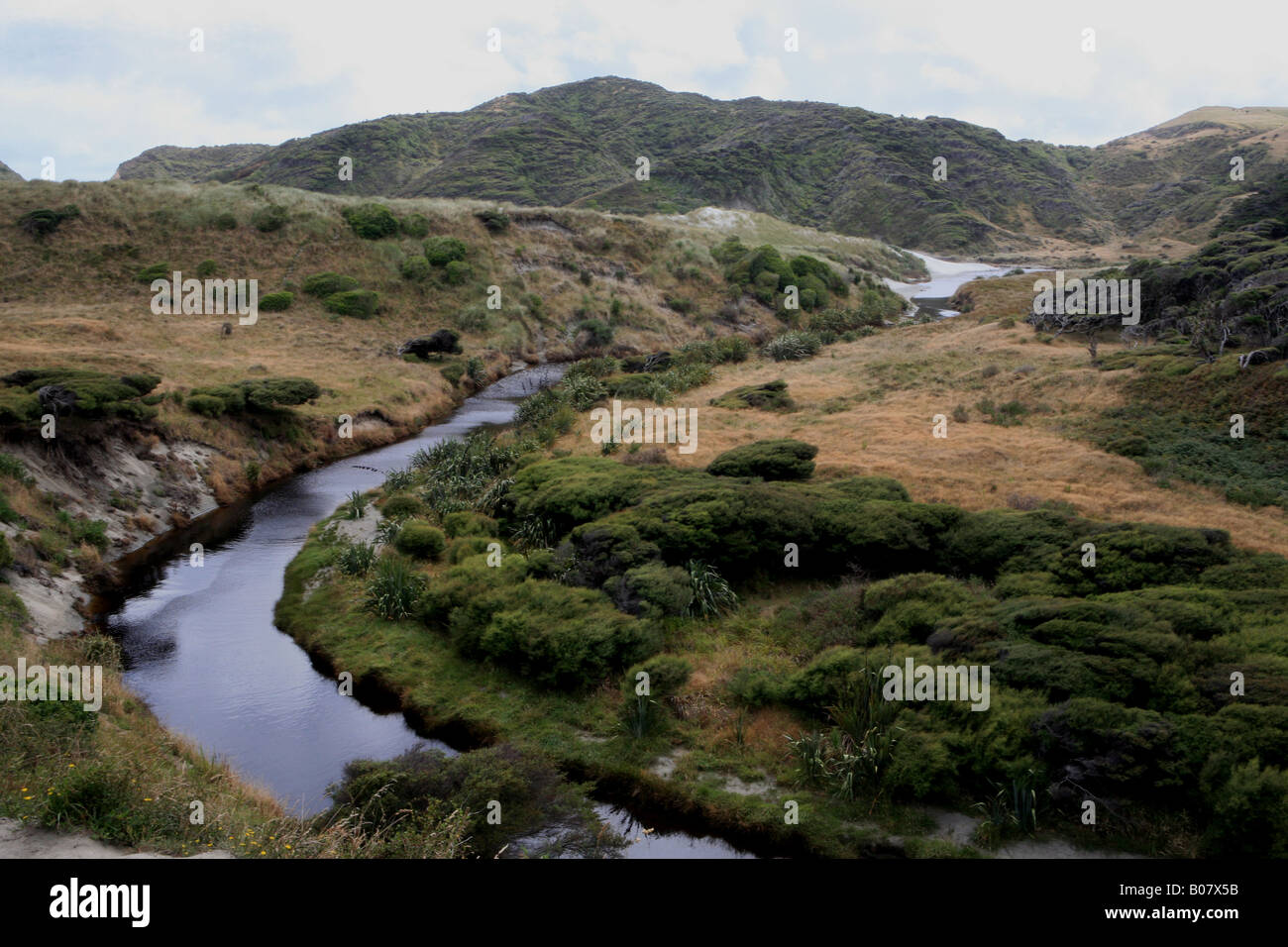 A stream running to the beach west of Farewell spit Stock Photo - Alamy
