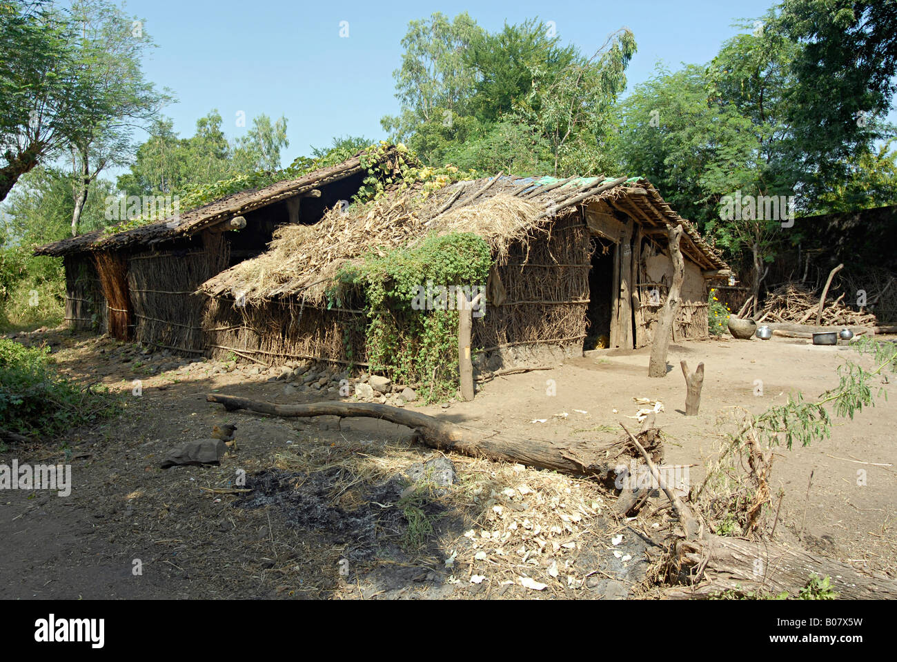 Typical tribal house with climbers. Pawara tribe Stock Photo - Alamy