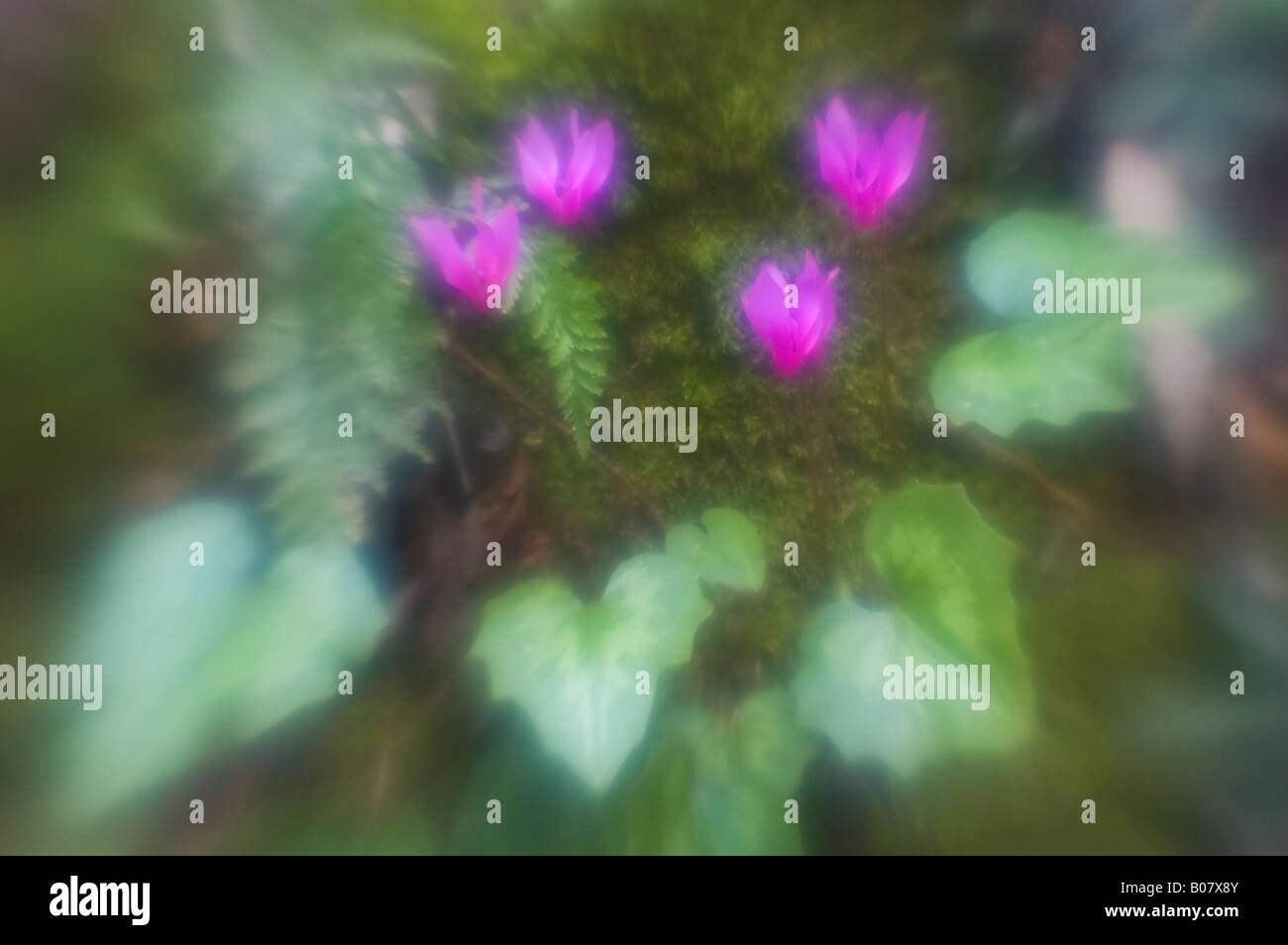 Suggestive of flowers hi-res stock photography and images - Alamy