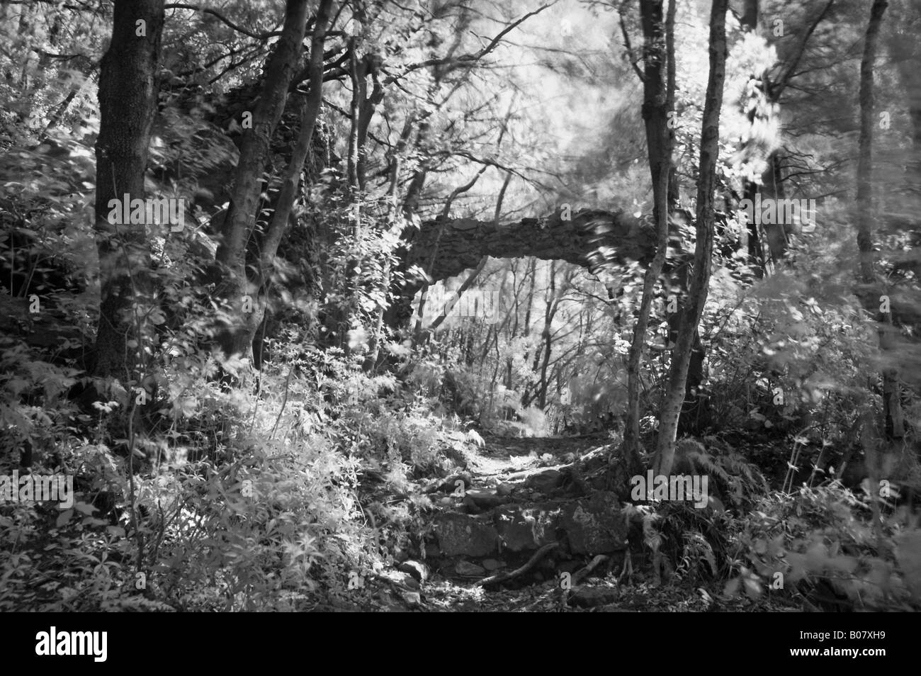 ruins in a wood Stock Photo - Alamy