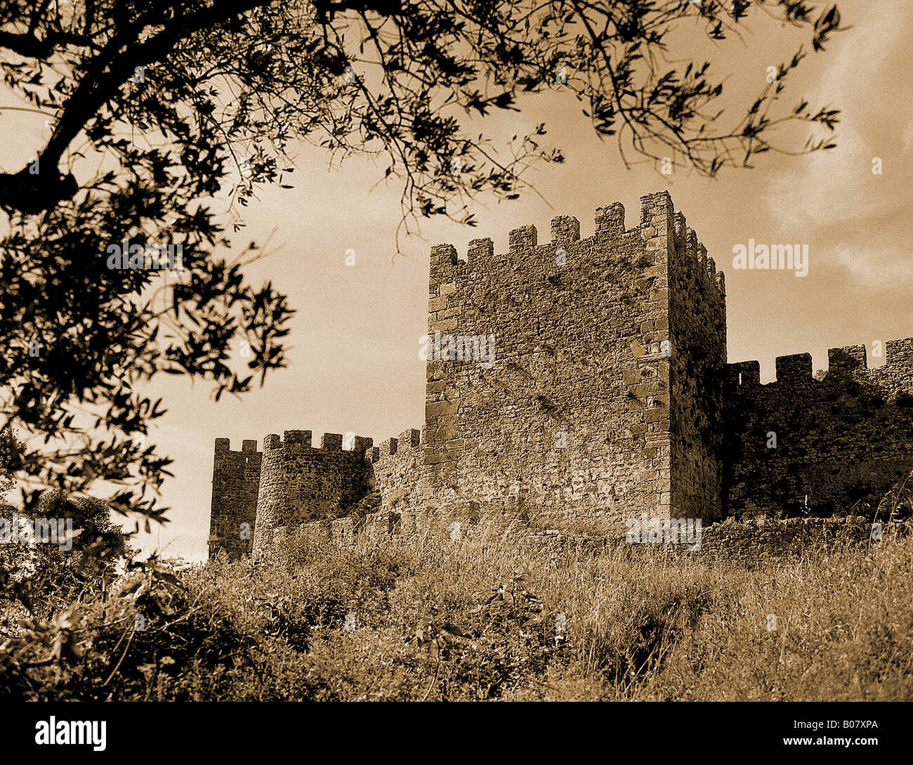 Castle wall framed by tree branches Stock Photo - Alamy