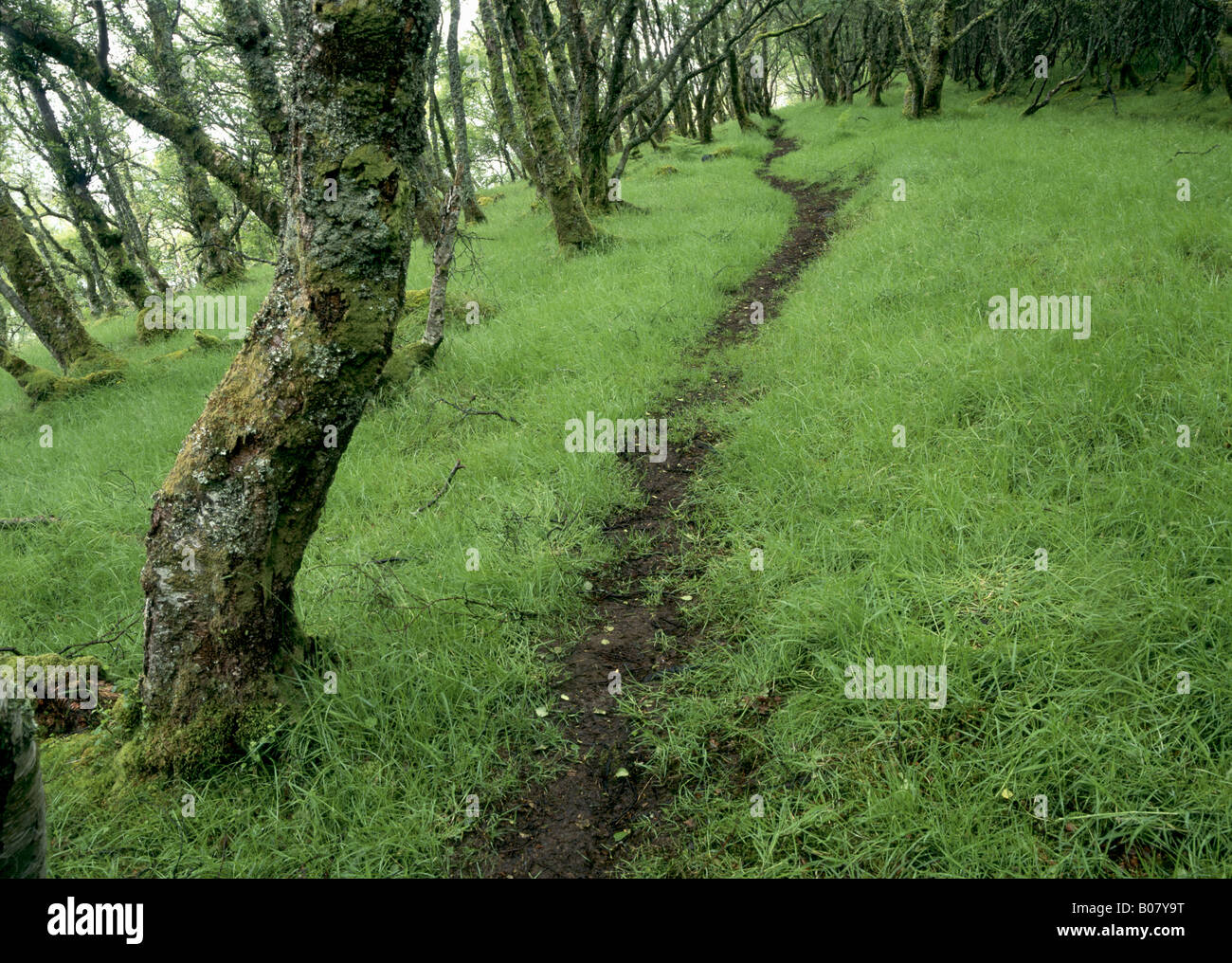 Hallaig hi-res stock photography and images - Alamy