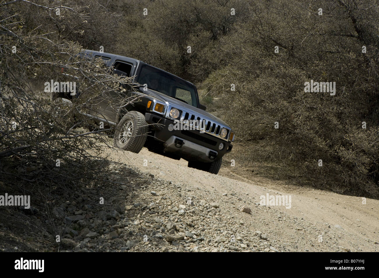 Black hummer hi-res stock photography and images - Alamy
