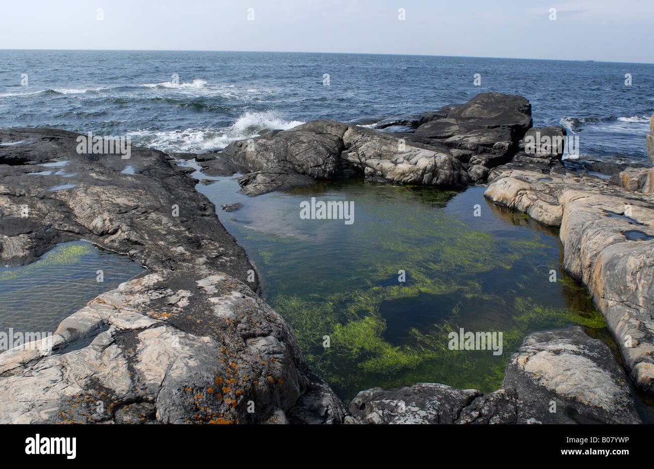 tidal pool at west coast, Sweden Stock Photo - Alamy