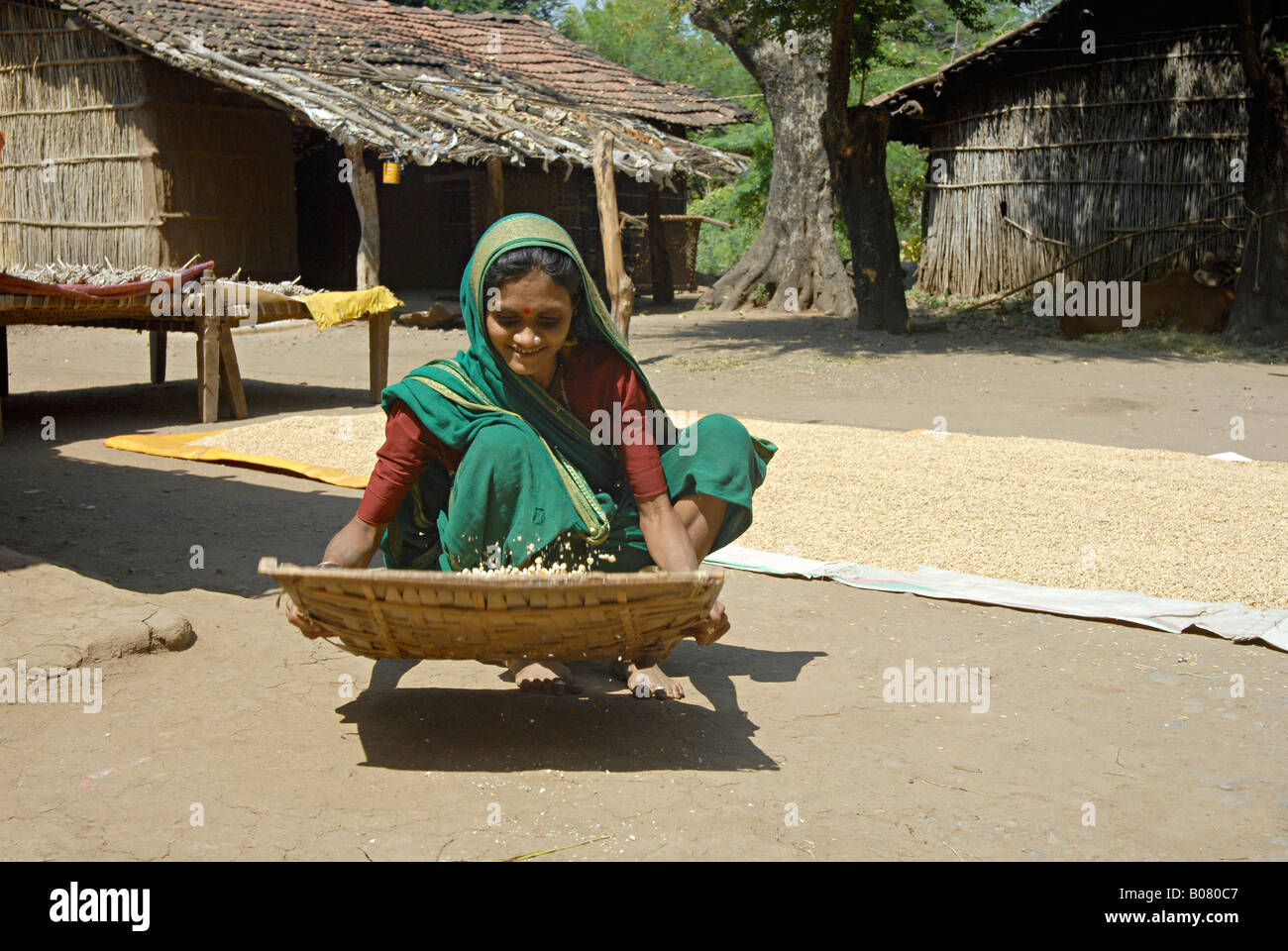 Woman winnowing grains. Pawara tribe Stock Photo - Alamy