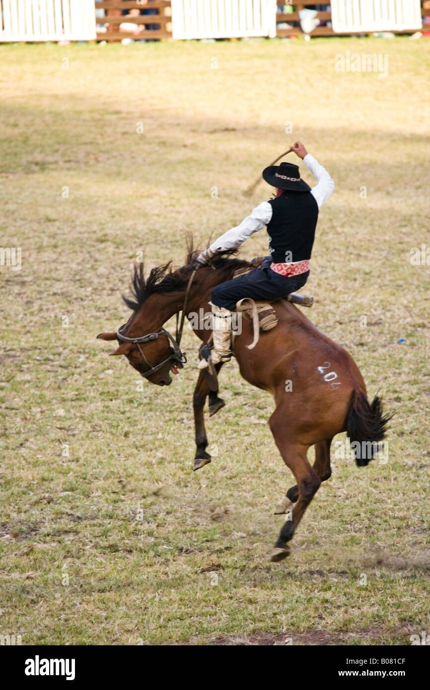 cow-boy cowboy rider riding free freedom lonely Stock Photo - Alamy